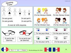 Focusing on the Primary French Project - Association for Language Learning